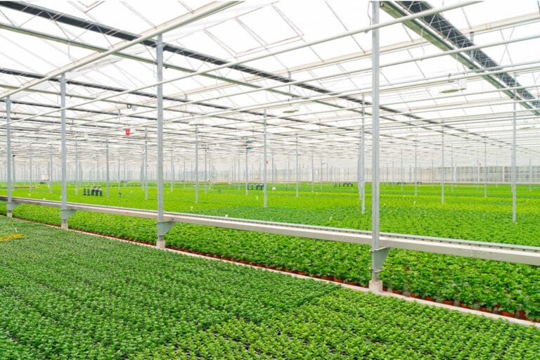 Macrolux AM Anti-Microbial Panels | Stabilit America